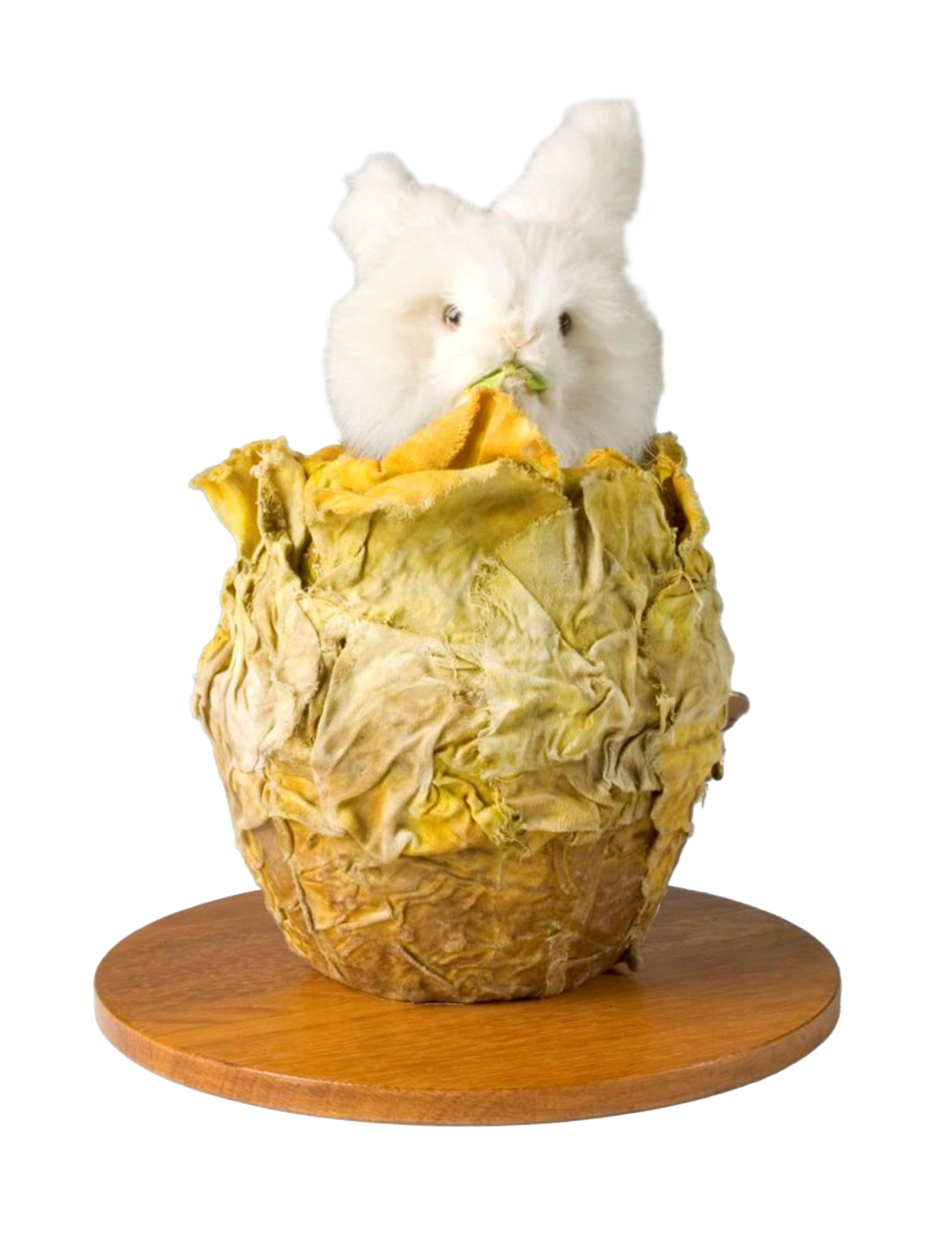 Museum Speelklok in Utrecht: where machines make music!