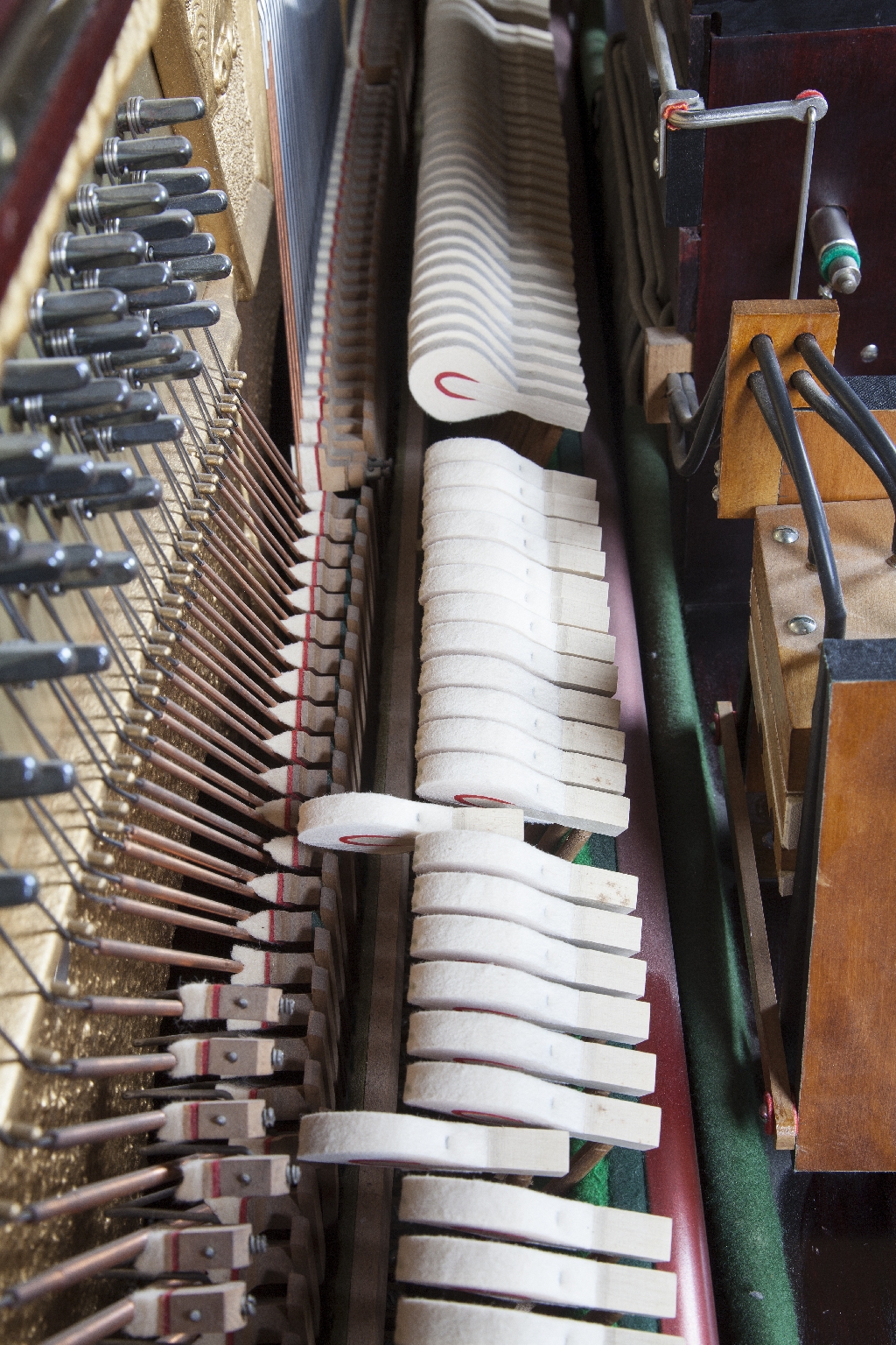 String instruments - Museum Speelklok